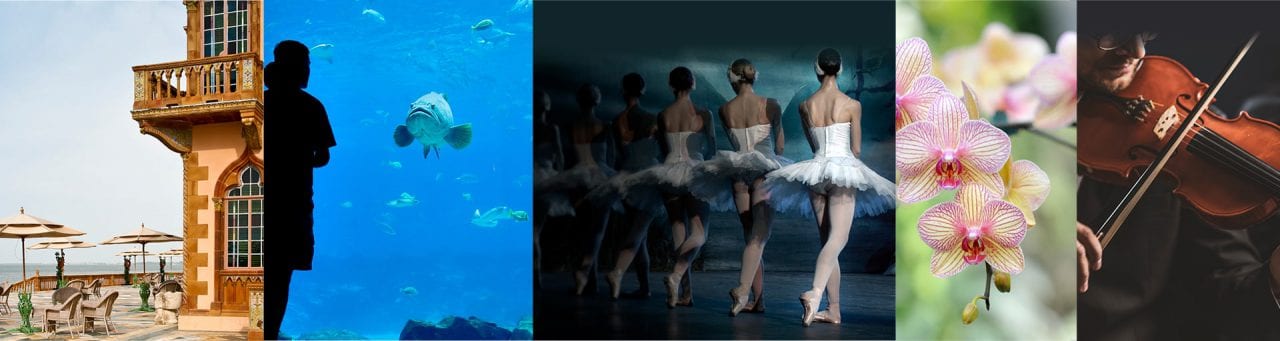 Arts & Culture | Sage Longboat Key